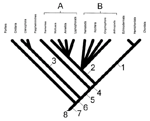 Index of /images/misc/APintroduction_to_ani_files/