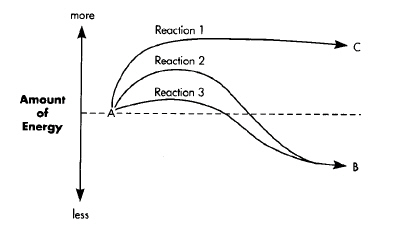 Index of /images/misc/unit_1_biochemistry_files/