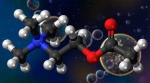 Molecular Geometry Chart: Definition, Examples, and Study Guides