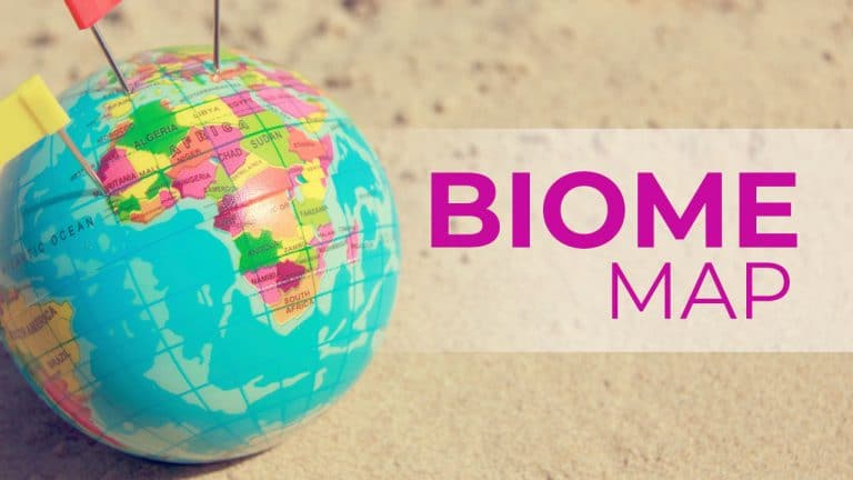 Biome Map: Definition, Examples, And Why It Is Important