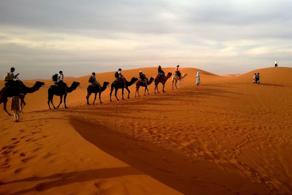 Biome Map: Definition, Examples, And Why It Is Important