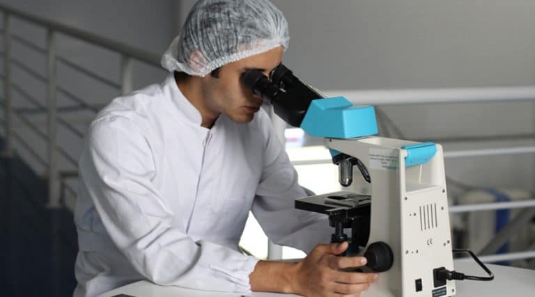 Using A Microscope 101: Important Microscope Parts & Functions